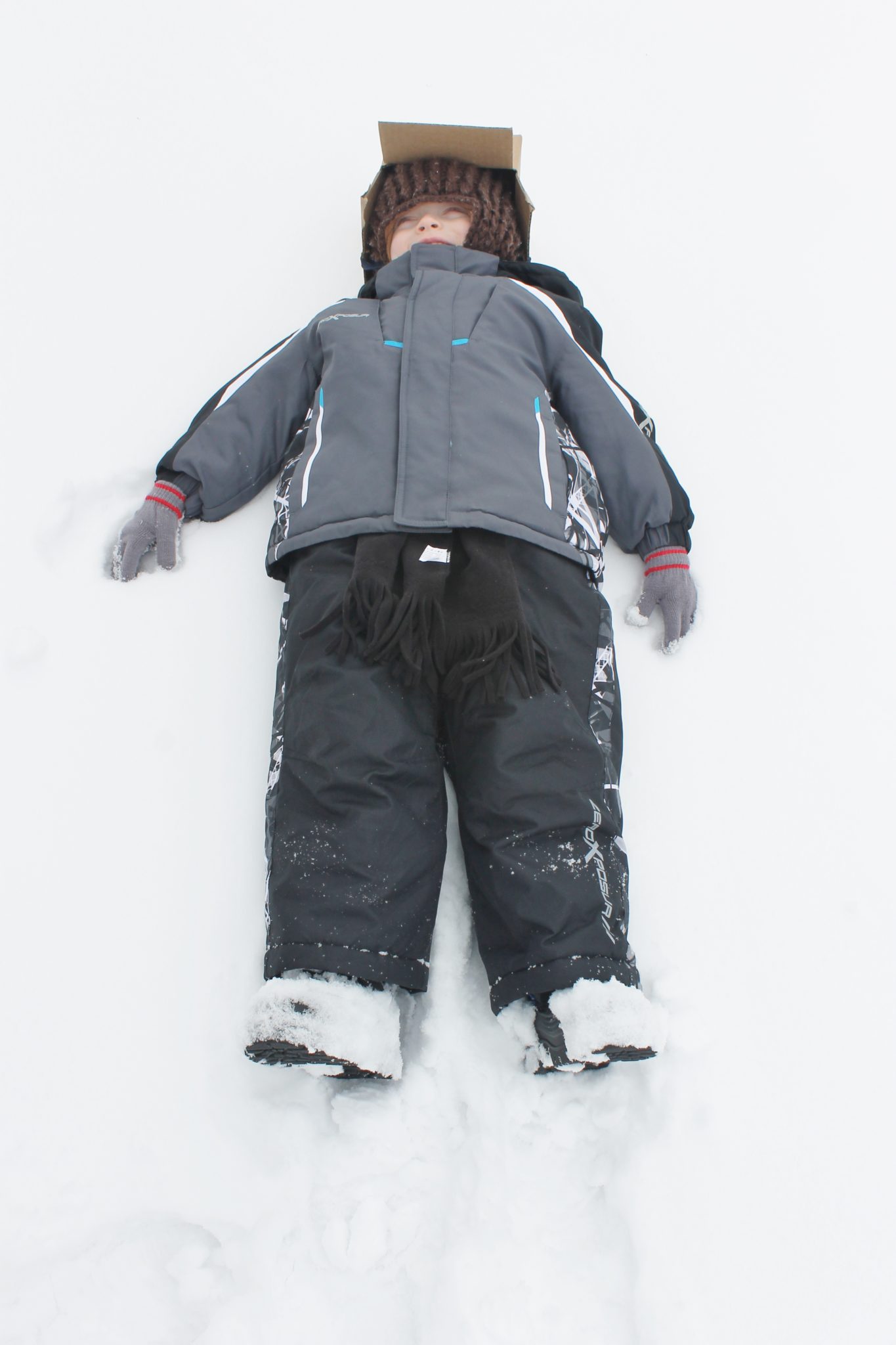 Snowbot DIY