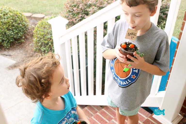 The Original DIY Pumpkin Patch Pudding Cups for Fall and Halloween