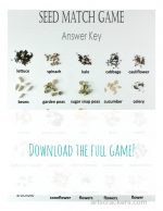 Printable Seed Packet Valentines | Non-Candy Valentines