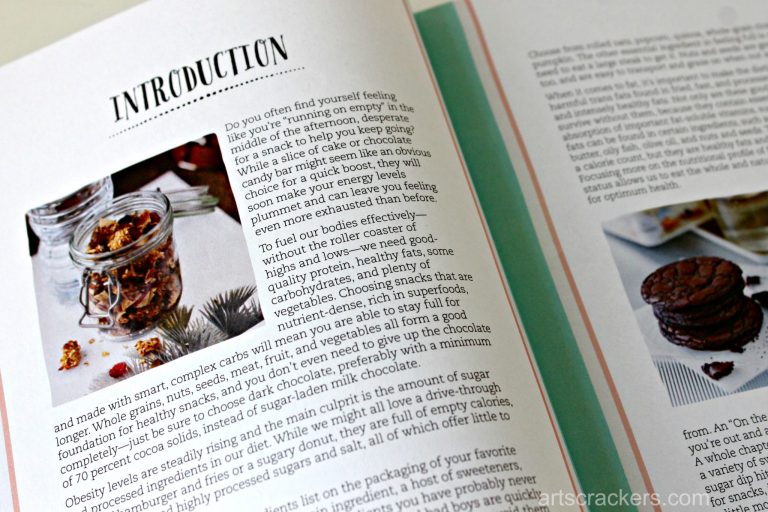 Power Snacks | Parragon Books Review