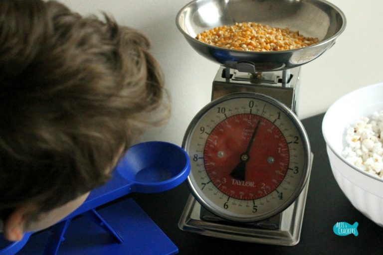 Which Weighs More? Weights and Measurements STEM Activity