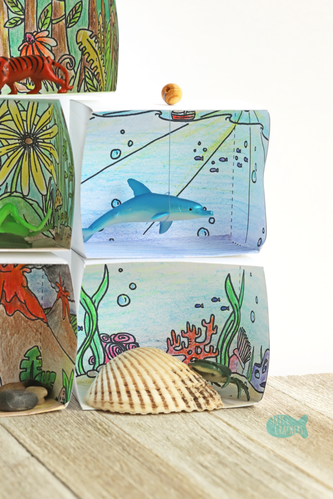 Printable 3D Box Diorama — Animal Habitat Craft